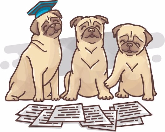 StudyPug Online Math Help Scholarship