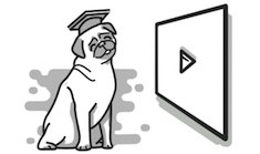 StudyPug: #1 Help and Practice for Math, Calculus and Stats